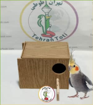 خرید لانه عروس هلندی و پرندگان متوسط جثه با بهترین قیمت - تهران طوطی